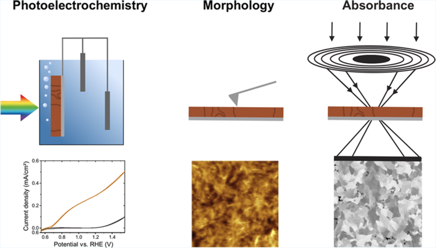 Nanoscale Heterogeneities and Composition – Reactivity Relationships in ...